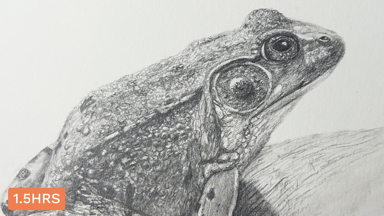 Textures and Depth with Graphite Pencil Drawing