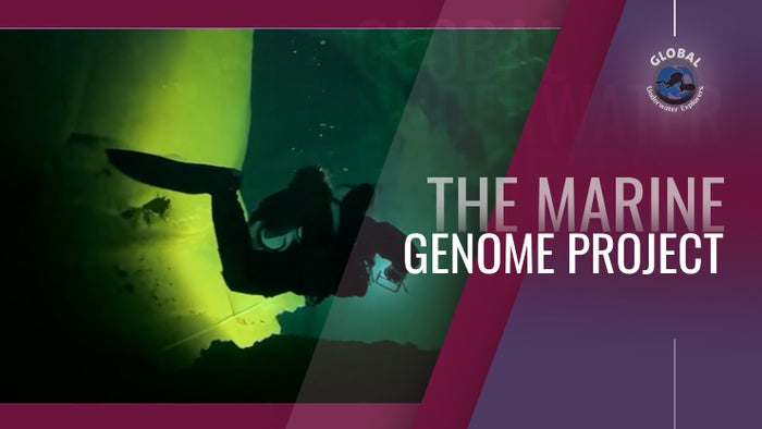 GUE: Uniting Passion and Preservation for the Aquatic Realm