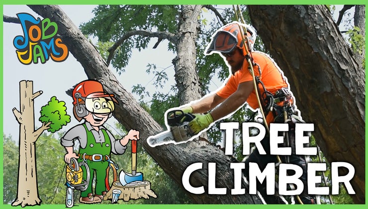 HeidiSongs | Tree Climber - Job Jams