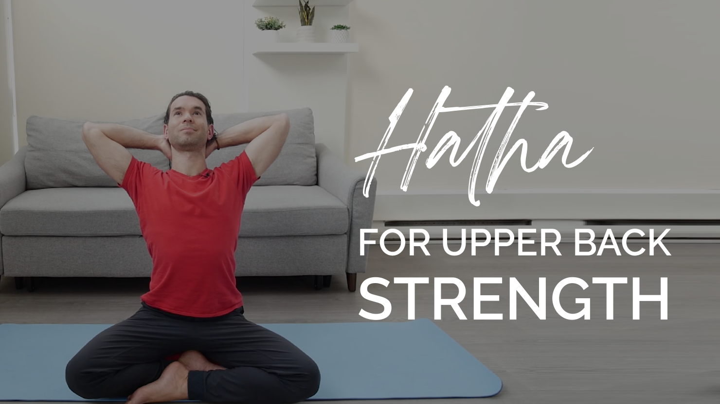 The Sweet Spine Collection