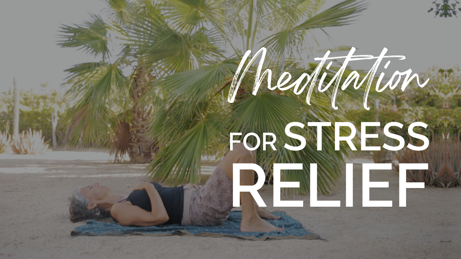 10 Days of Meditation