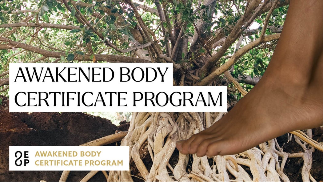Awakened Body Certificate Program