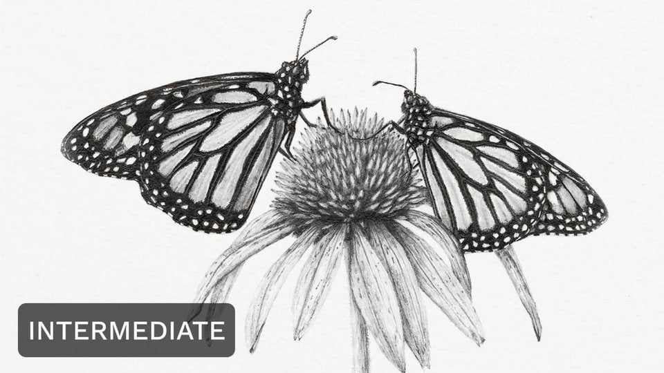 Drawing Animals in Graphite: A Course | Etchr Studio