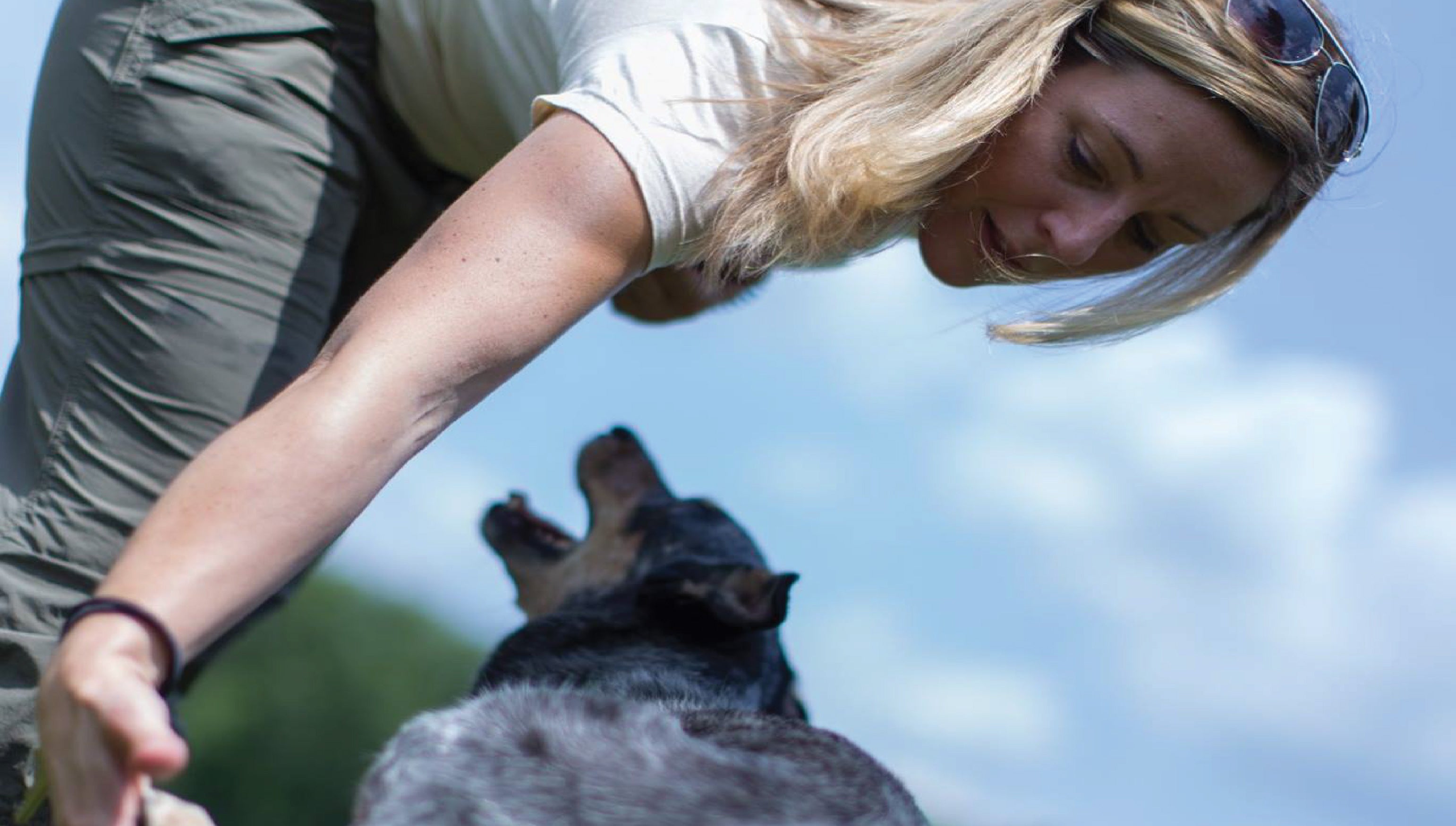 Game On! Using Interactive Training Games to Spice Up Group Classes ...