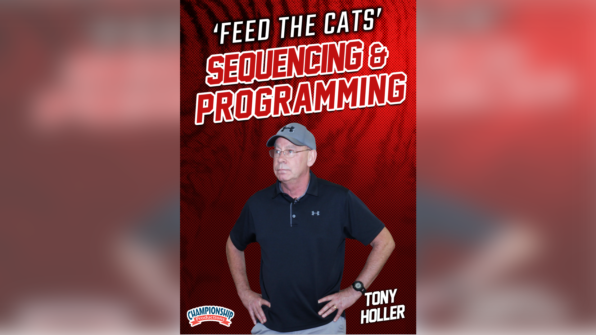 Feed the Cats' : Sequencing & Programming