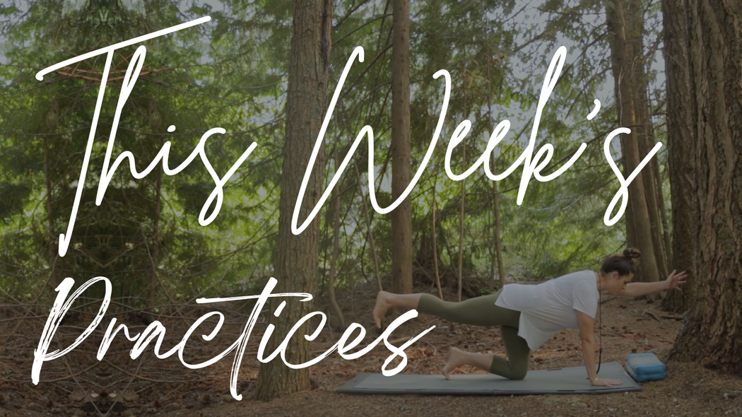 This Week's Practices