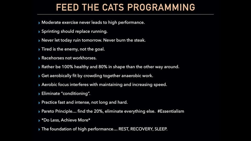 Feed the Cats' : Sequencing & Programming