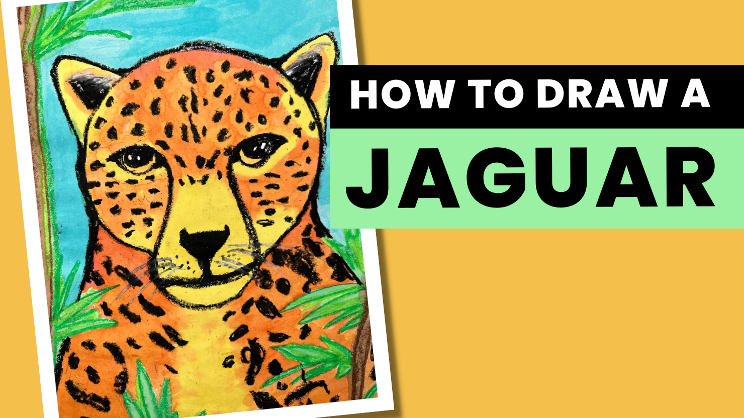 Jaguar | Studio Sprout