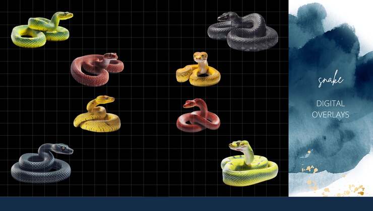 Finding North Educational Resources for Photographers | Snake Digital ...