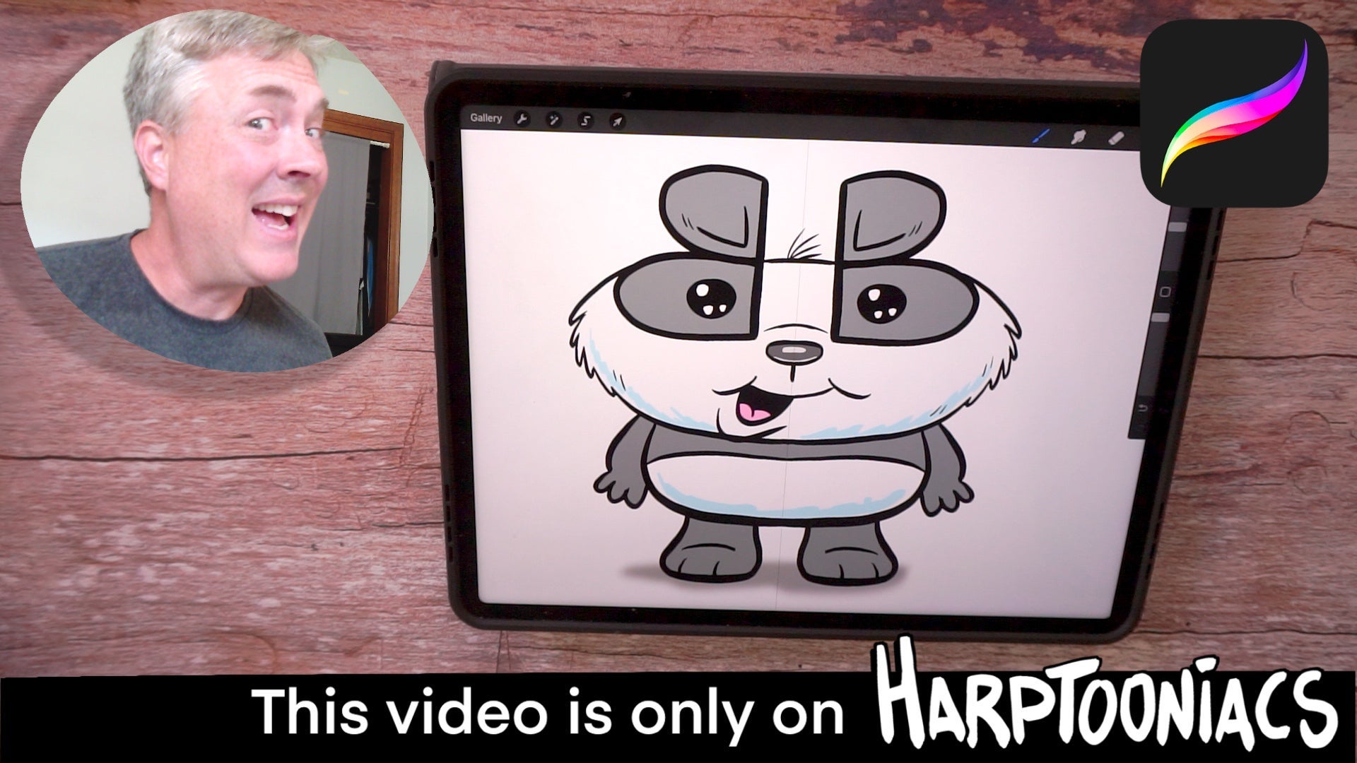 Procreate Panda Harptooniacs