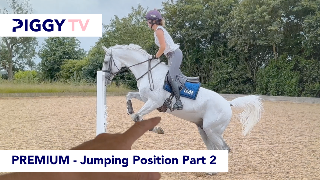 Jumping Position Part 2 | Piggy TV