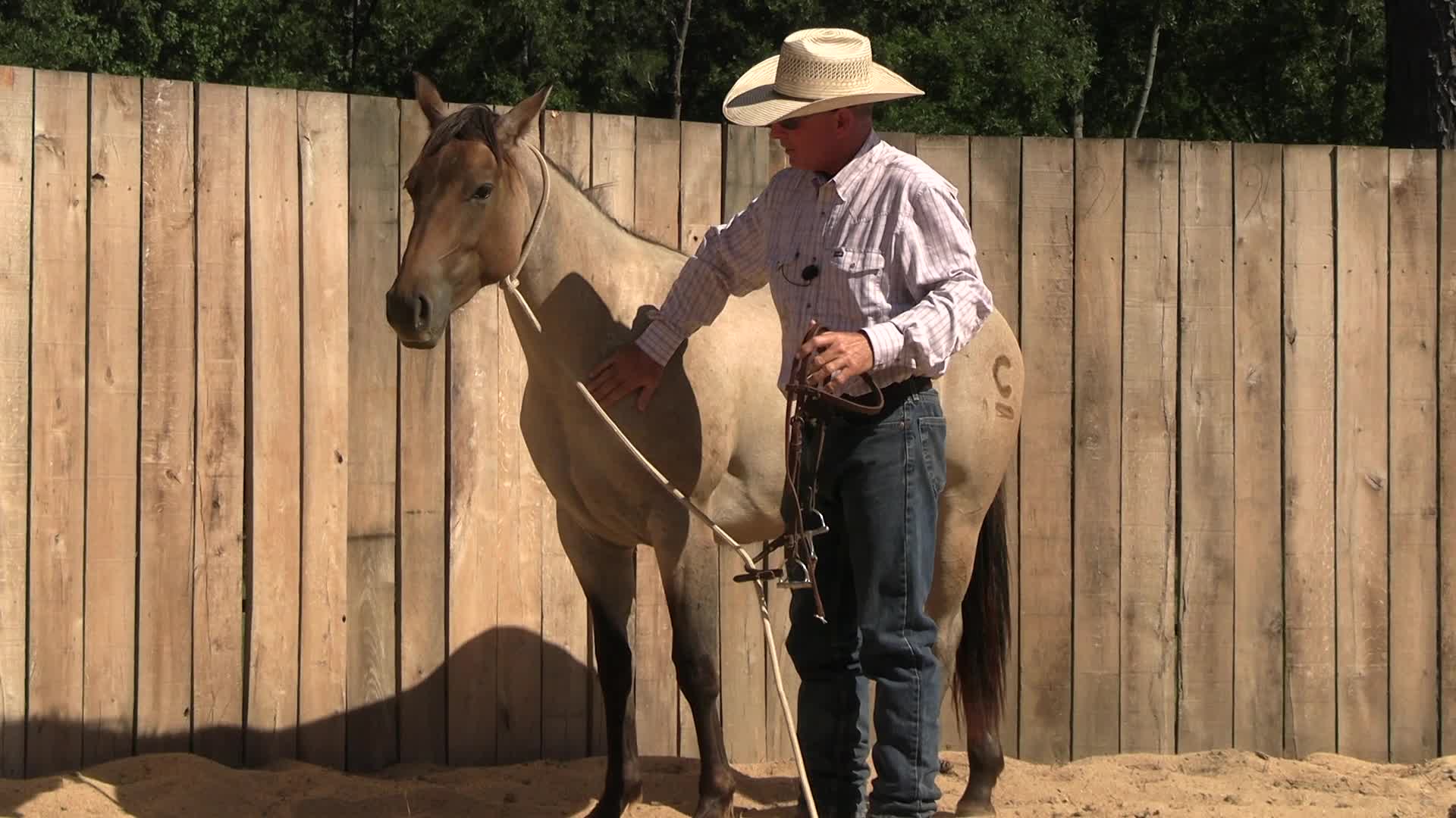 10 Commandments | B1 Horsemanship