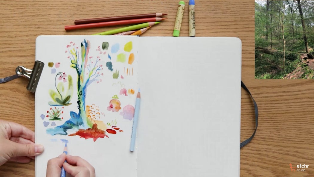 Creating Life Through Colour and Patterns