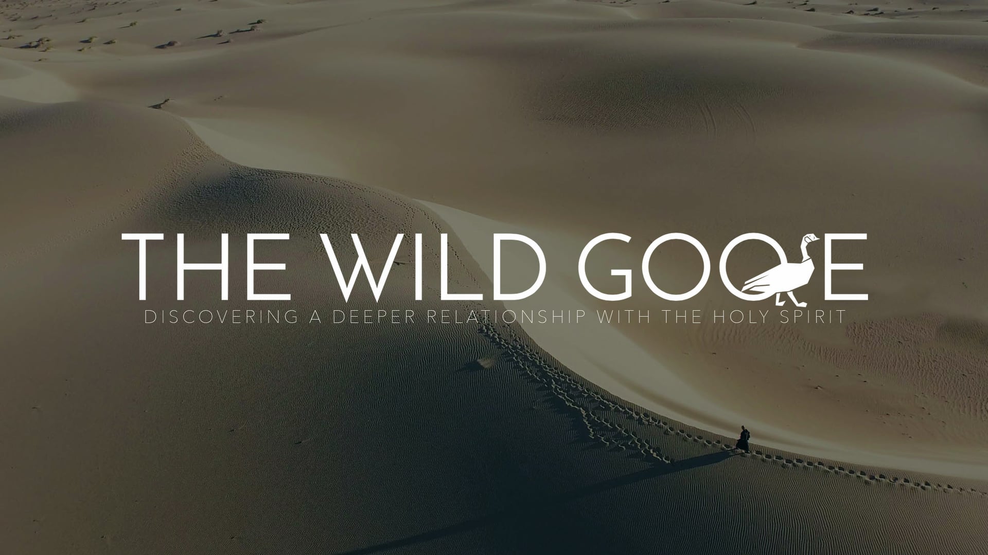 The Wild Goose