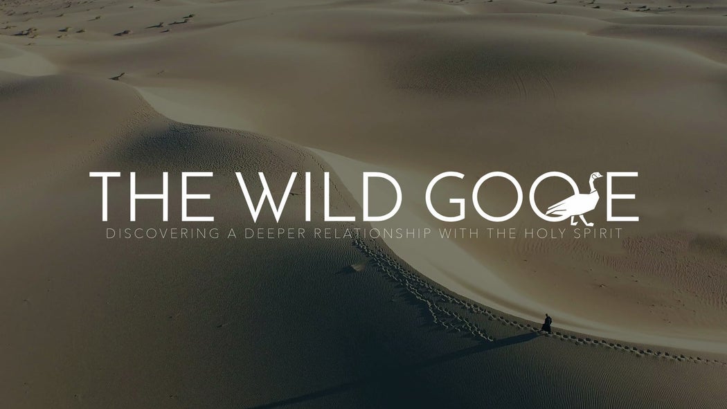 The Wild Goose