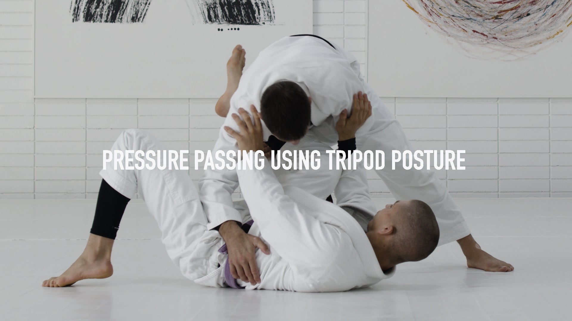 Guard Pass Sequences