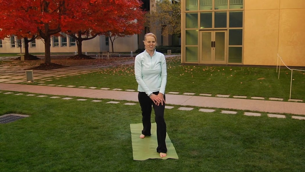 Dru Sequences Collection