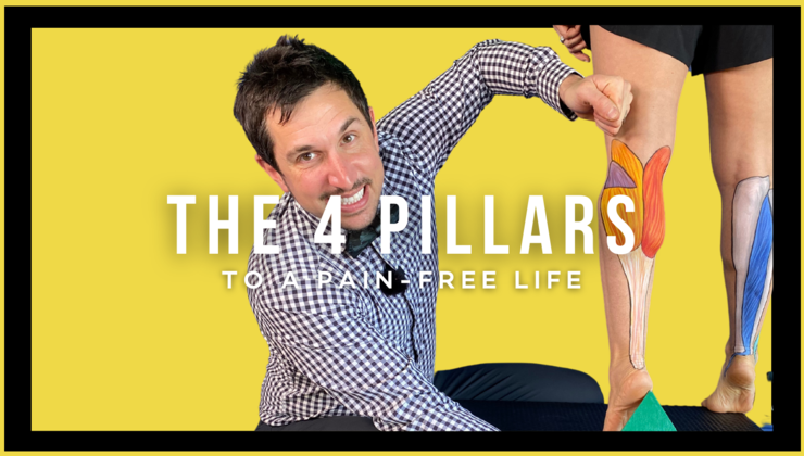 The 4 Pillars To A Pain-Free Life