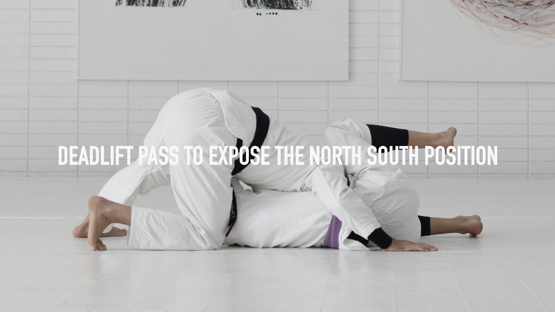 Guard Pass Sequences