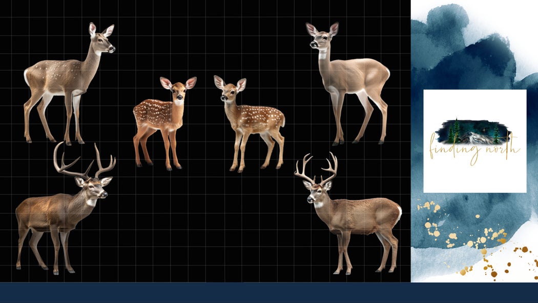 Deer Digital Overlays