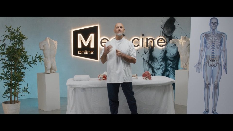 Introduction to the neurovegetative system: ortho and parasympathetic ...