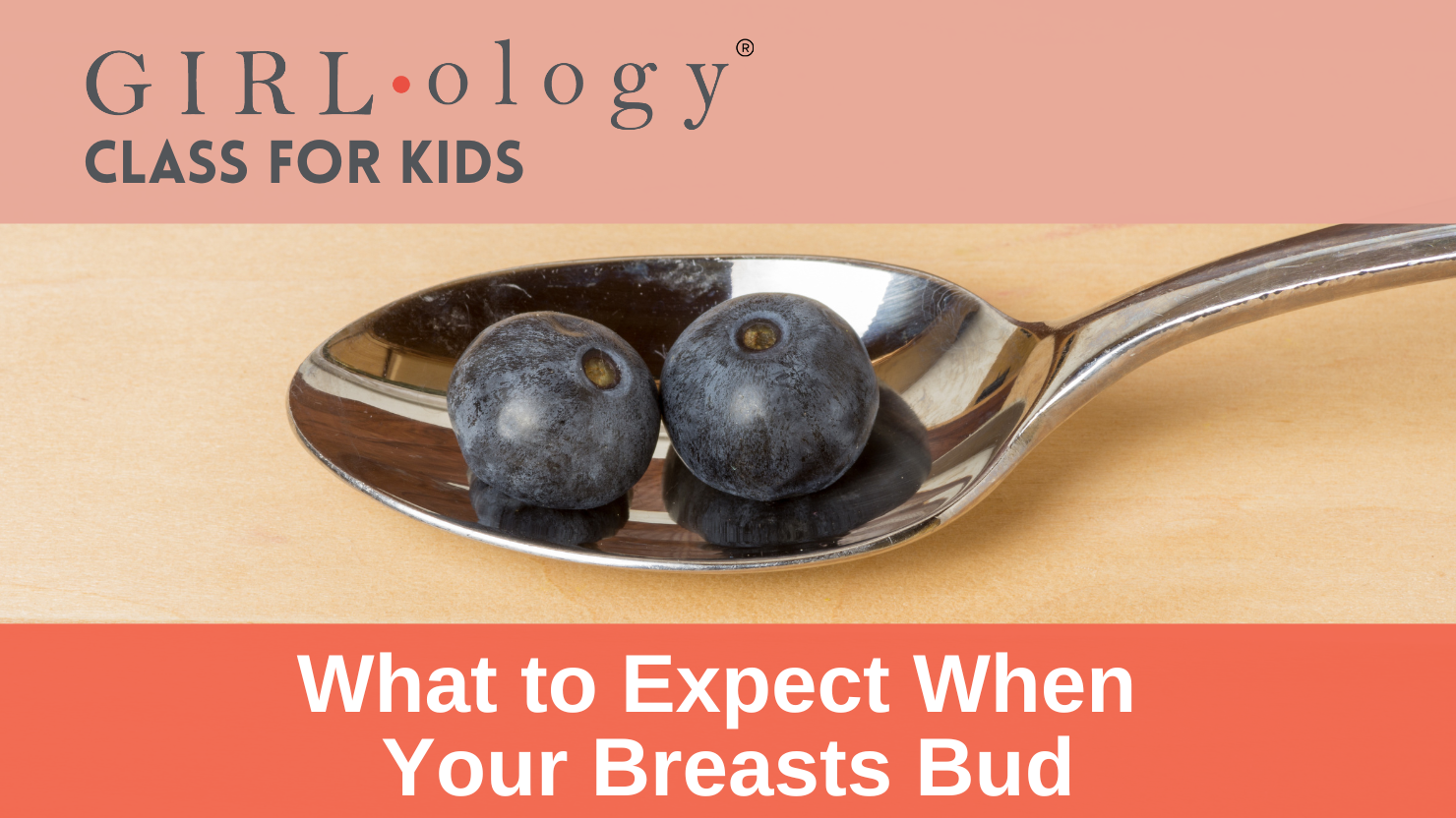 Girlology | Class: What to Expect When your Breasts Bud