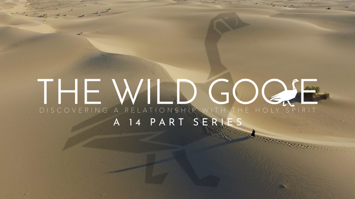 Wild Goose TV Catalog