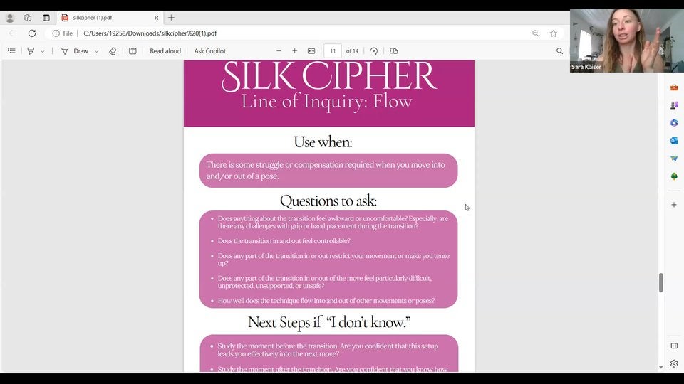 SilkCipher Line of Inquiry: Flow