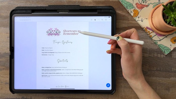 Procreate Foundations