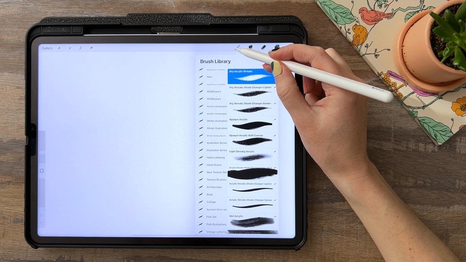 Procreate Foundations