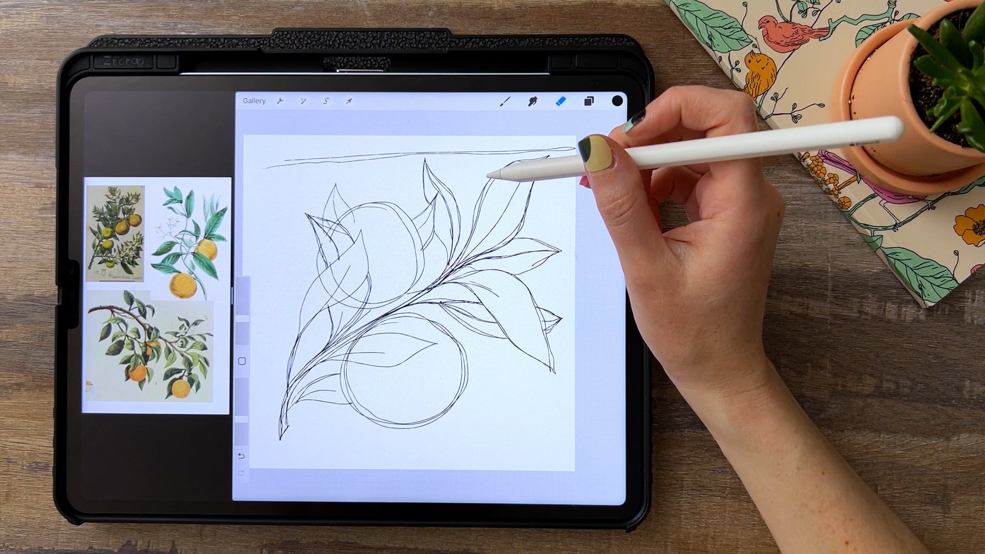 Procreate Foundations