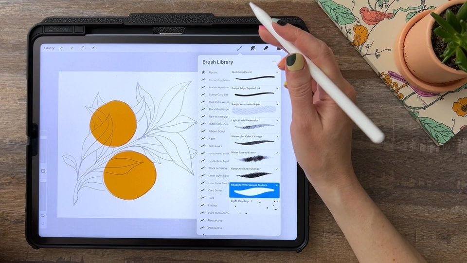 Procreate Foundations