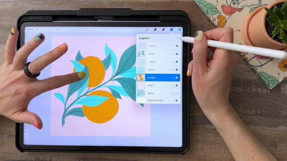 Procreate Foundations