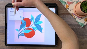 Procreate Foundations