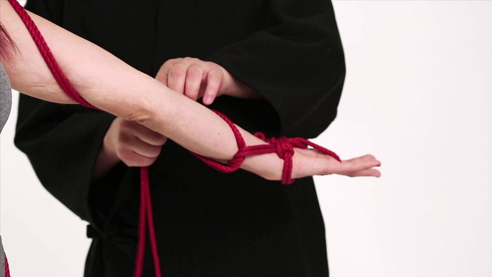 Web Harness | Shibari Study
