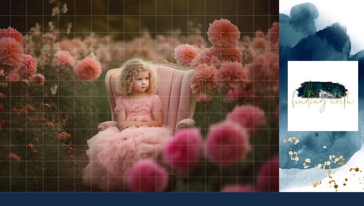 Finding North Educational Resources for Photographers | Grid Digital ...