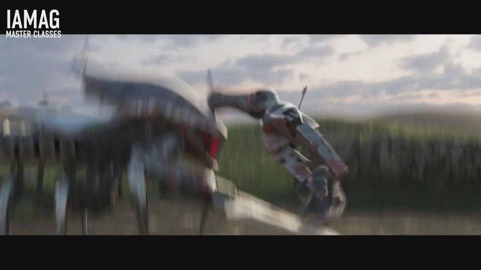 Jumping into the Unknown: Visual Development at Axis