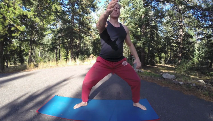 Sean Vigue Fitness | Vault: Core and Legs Workout