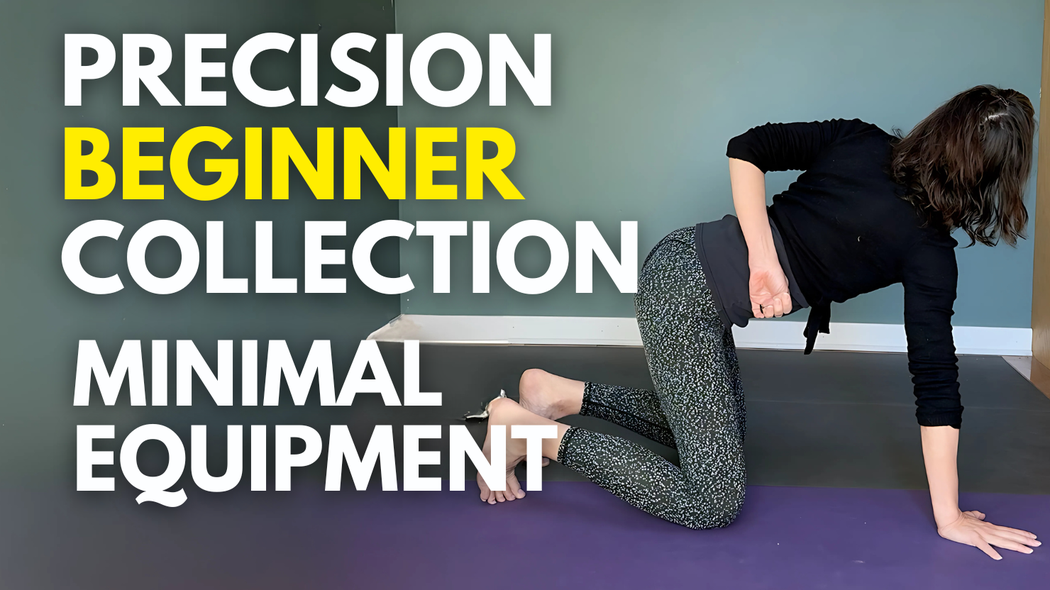 Precision Beginner