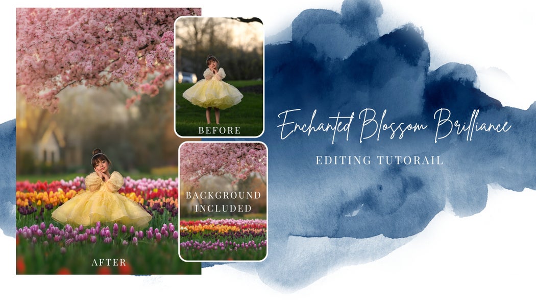 Finding North Educational Resources for Photographers | Enchanted Blossom Brilliance Editing ...