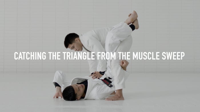 Triangle Curriculum