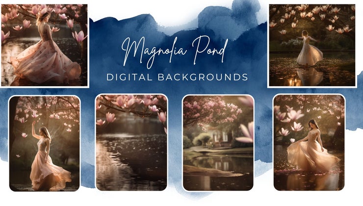 Finding North Educational Resources for Photographers | Magnolia pond ...