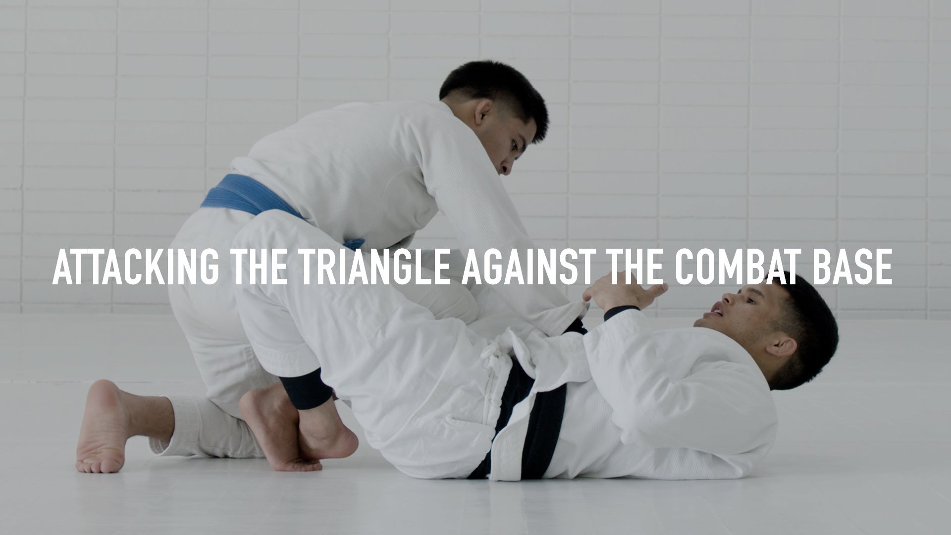 Triangle Curriculum