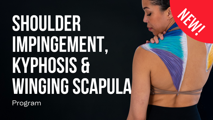 Level 1 Shoulder Impingement, Kyphosis & Winging Scapula Program