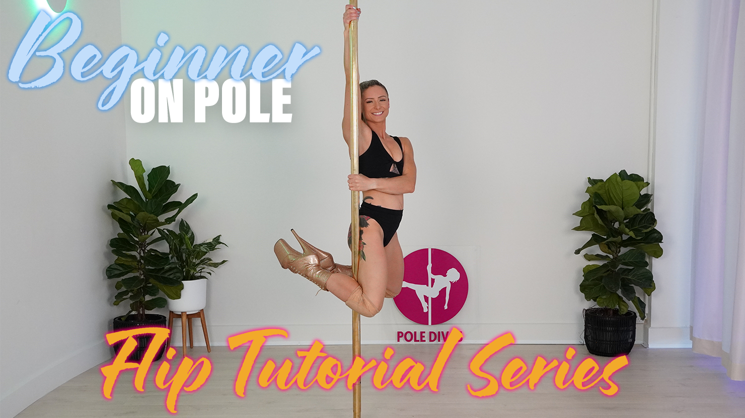 Beginner Flip Tutorials