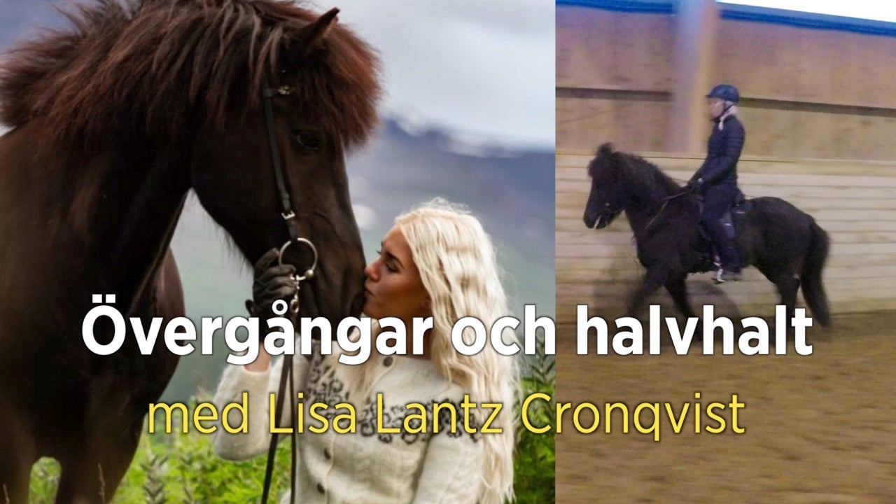 Lisa Lantz | Töltriding