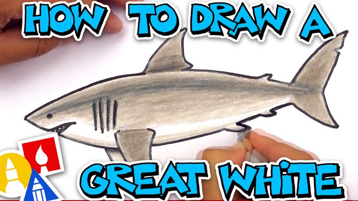 how to draw realistic shark