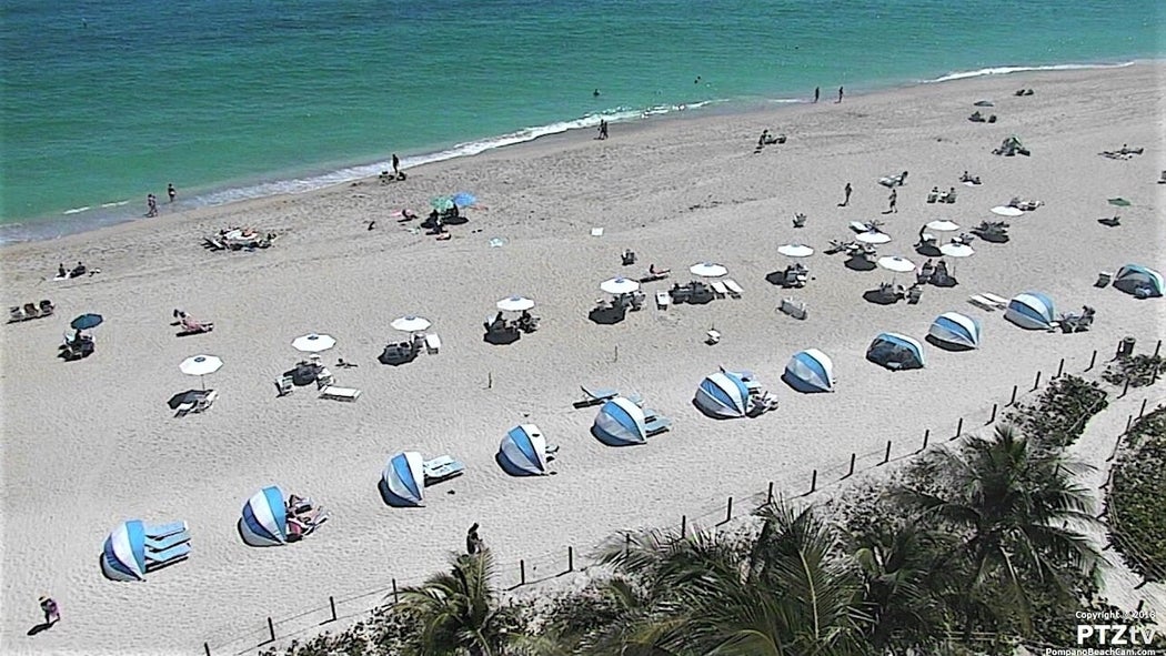 Port Tampa Webcam | PTZtv One