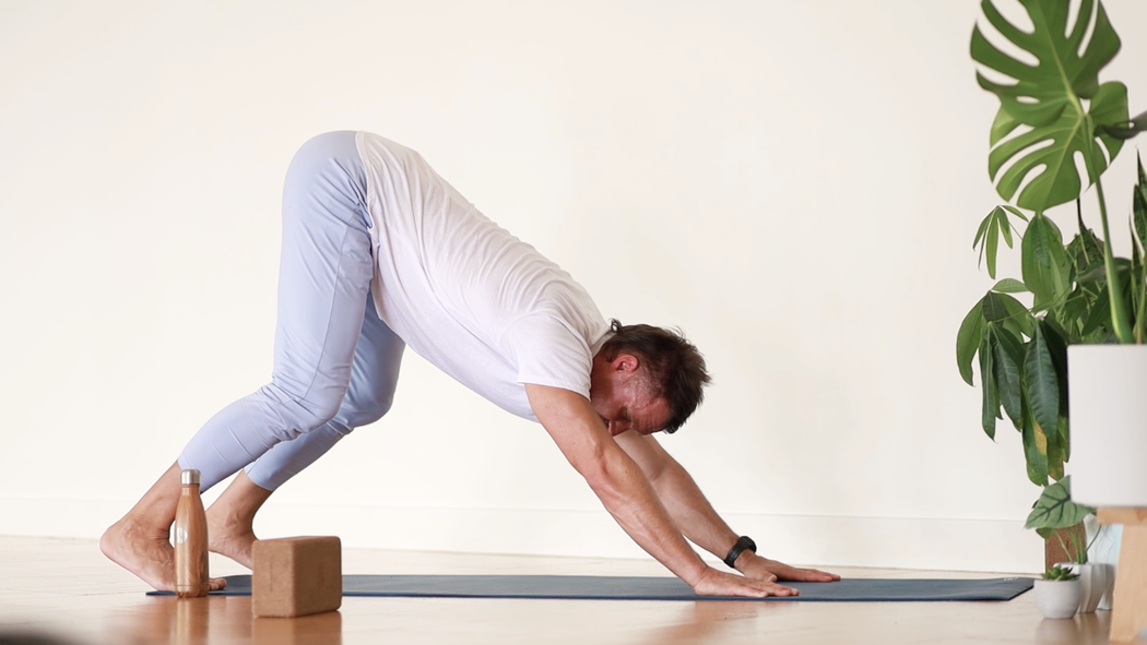 Modo Yoga Online | Catalog