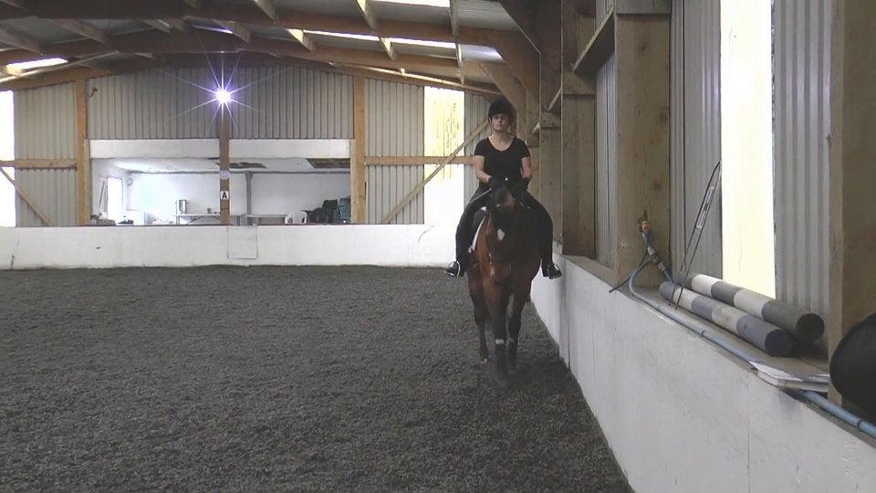 Online Classical Riding Academy - seat and position | Online Classical ...